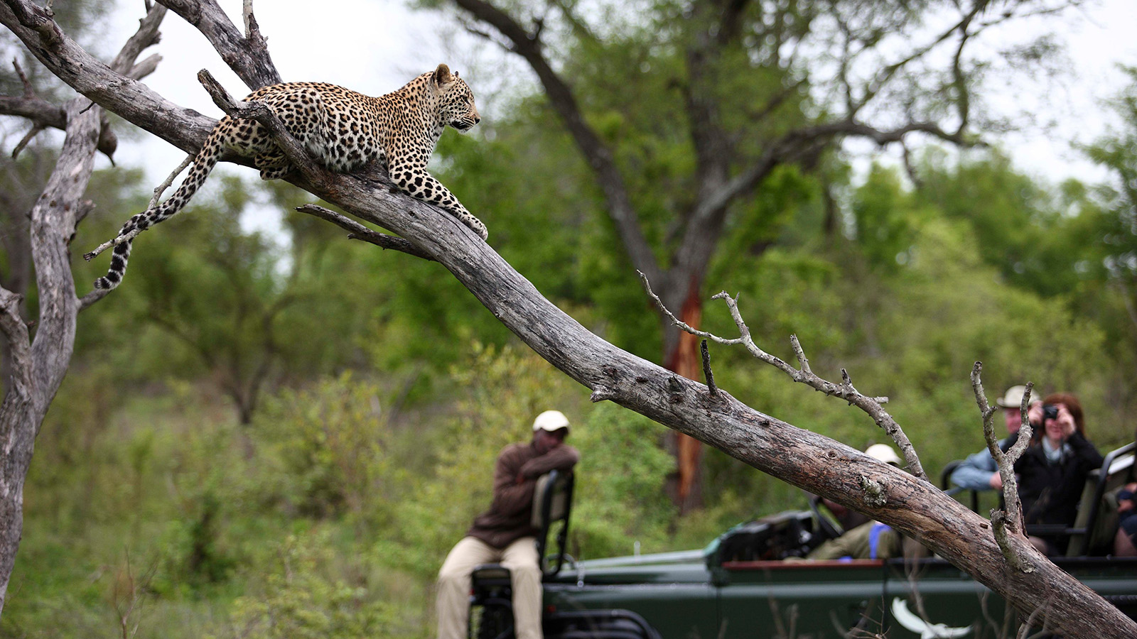 &Beyond Partners with Beyond Green