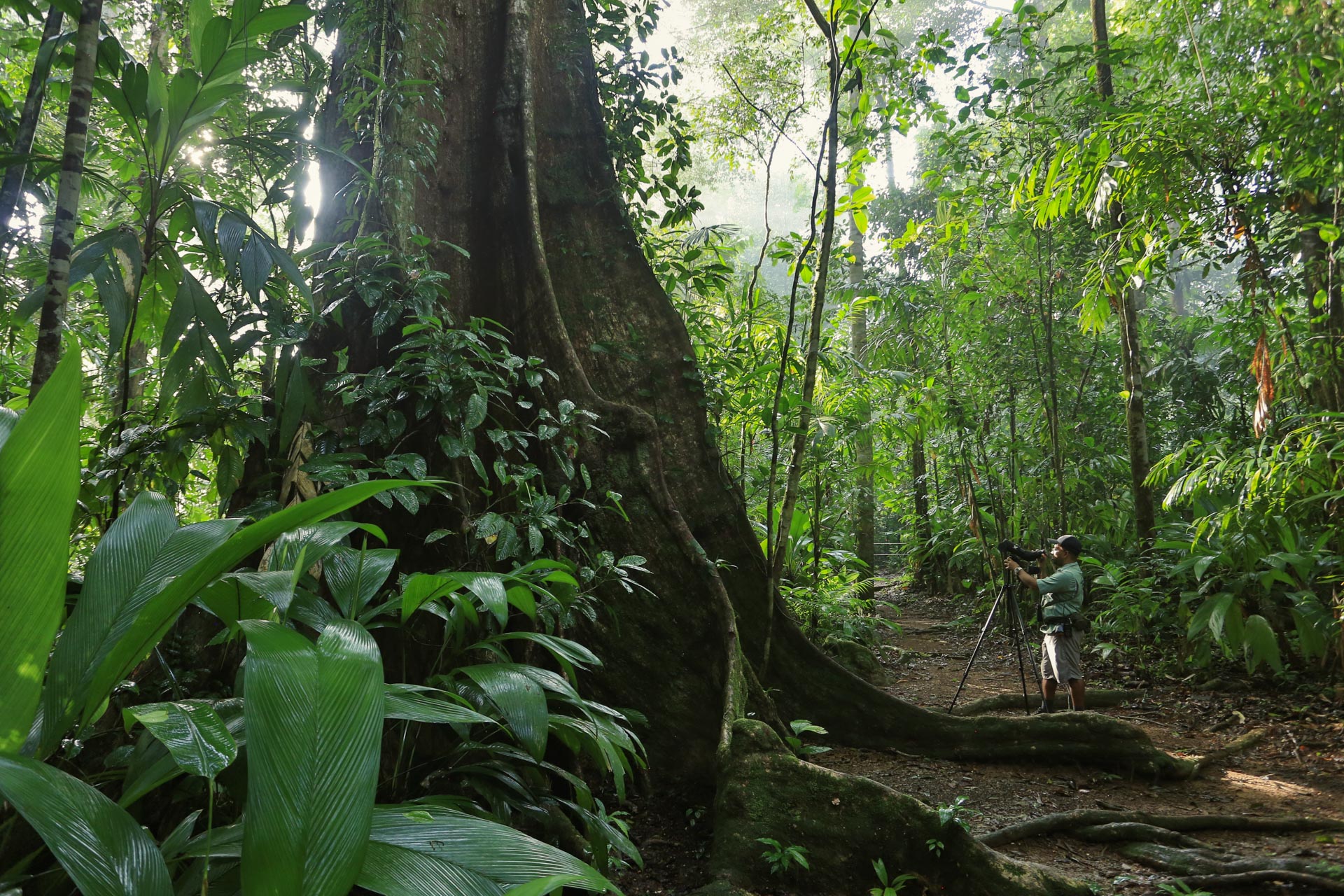 Corcovado Wilderness Lodge by SCP, in Bahia Drake, Costa Rica - Beyond ...