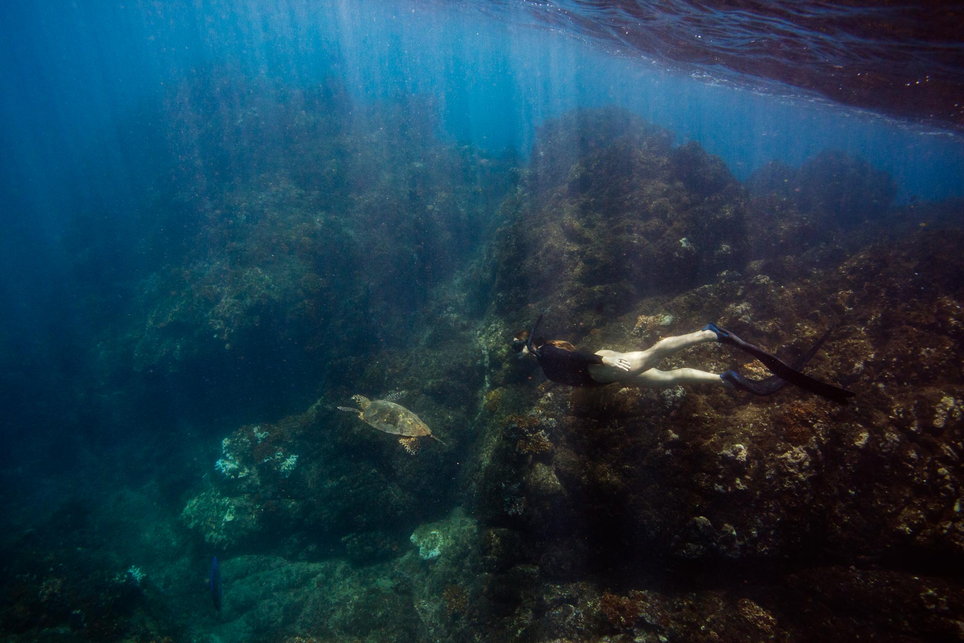 Corcovado Wilderness Lodge by SCP, in Bahia Drake, Costa Rica - Beyond ...