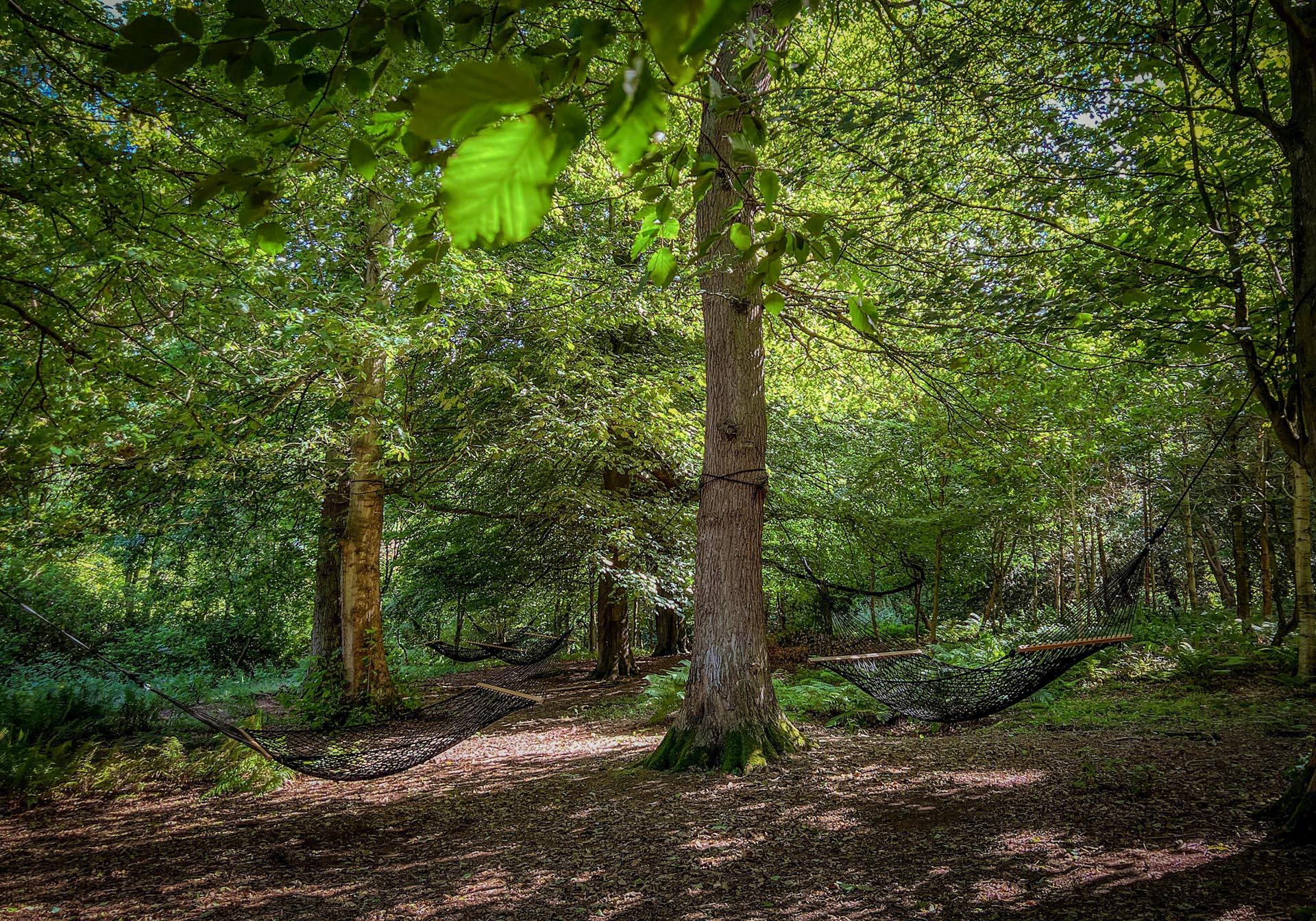 Swinton Park Hotel, in Ripon North Yorkshire, United Kingdom - Beyond ...