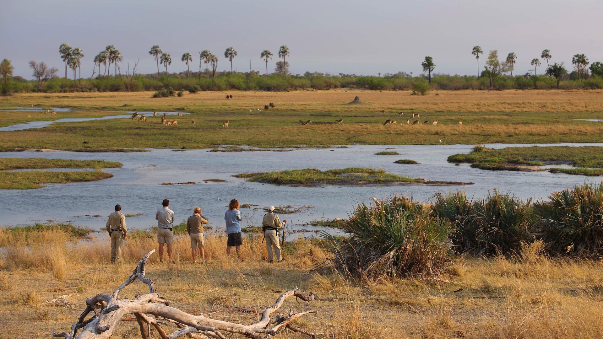 andBeyond Sandibe Okavango Safari Lodge, in Okavango Delta, Botswana ...
