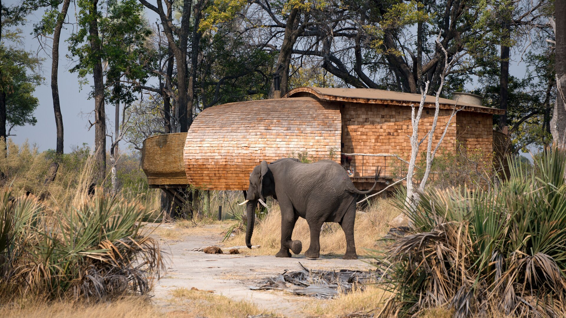 andBeyond Sandibe Okavango Safari Lodge, in Okavango Delta, Botswana ...