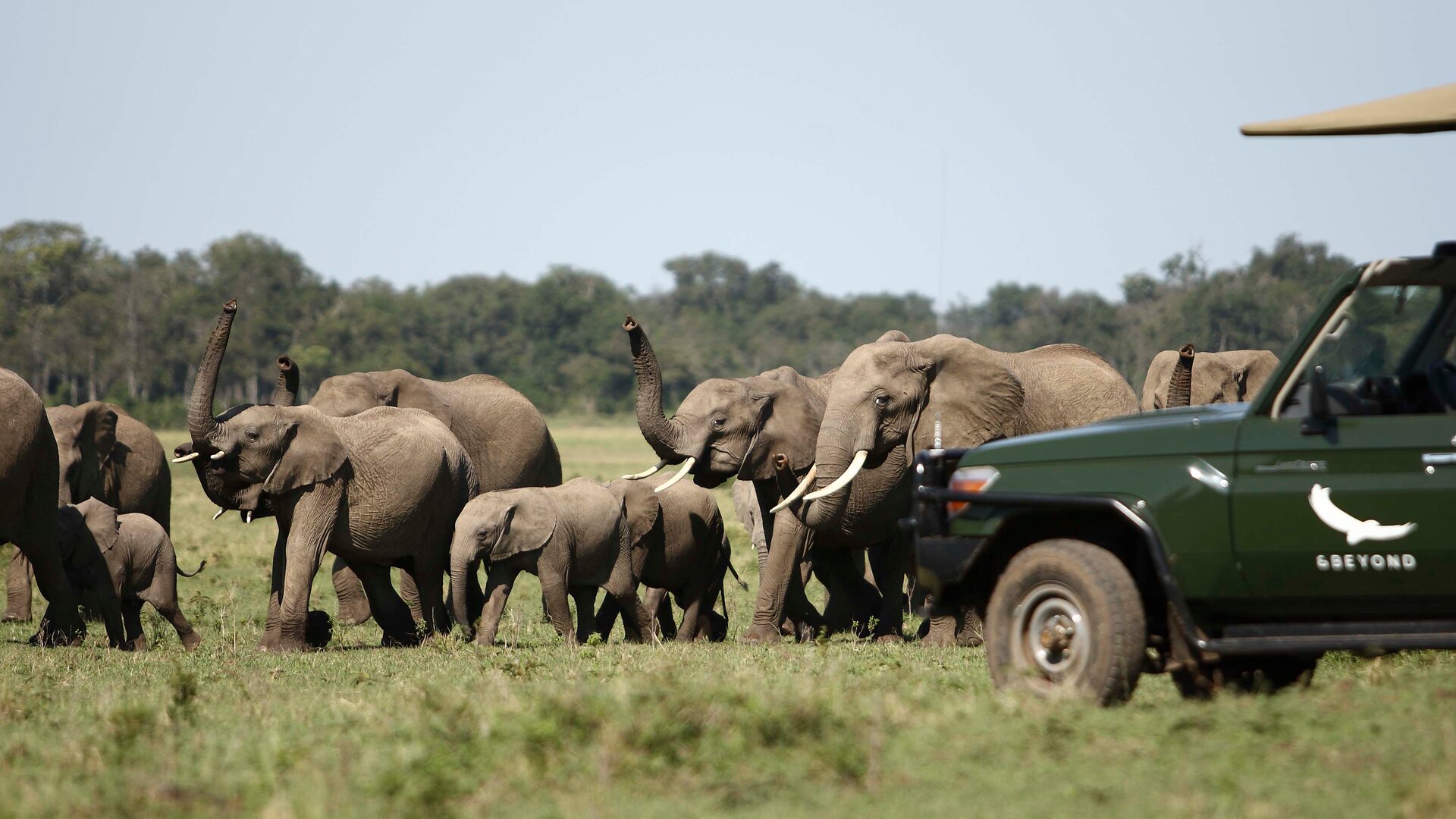 andBeyond Kichwa Tembo Tented Camp, in Kawai, Kenya - Beyond Green ...