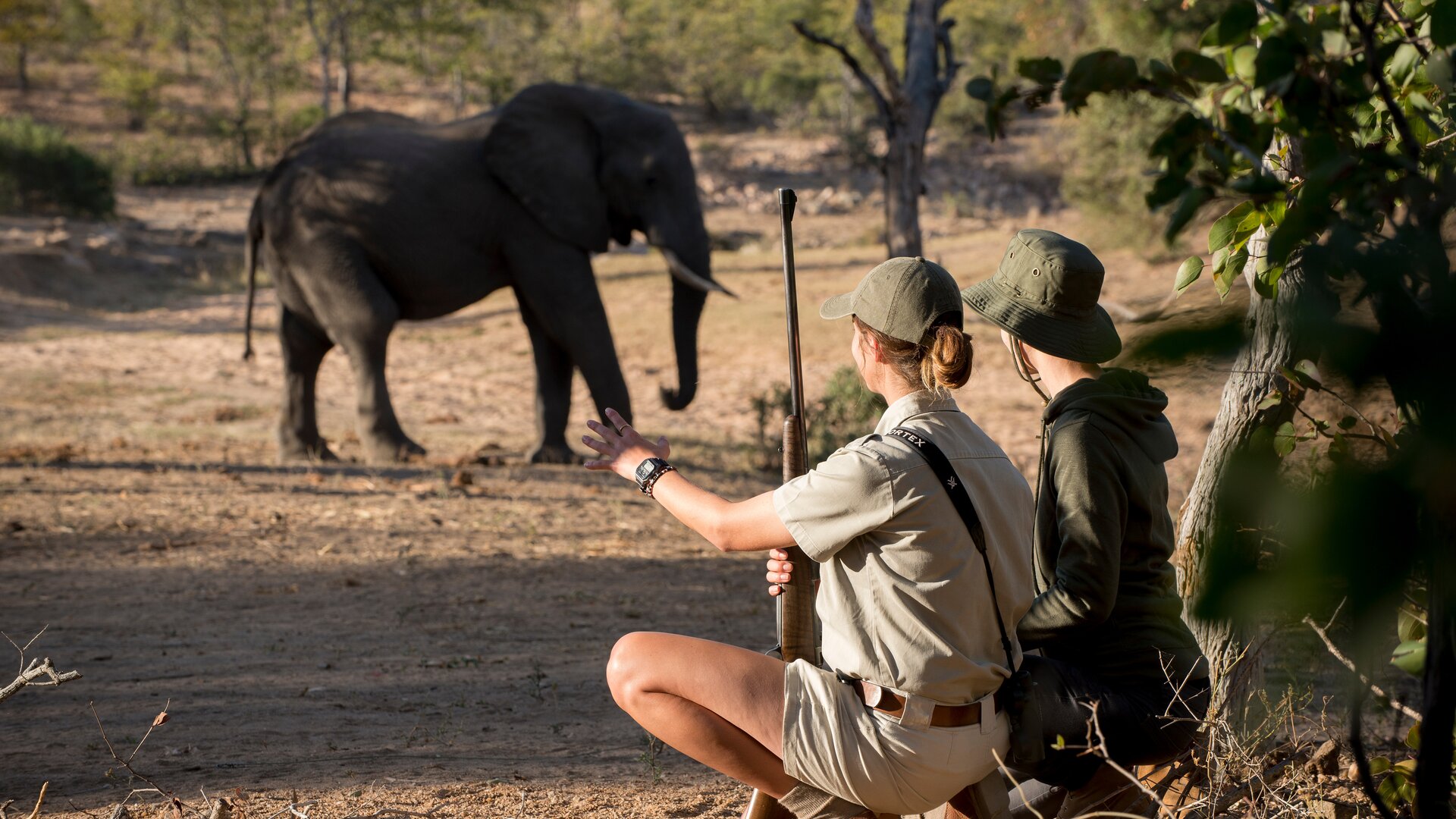 andBeyond Ngala Safari Lodge, in Hoedspruit, South Africa - Beyond Green | Beyond Green