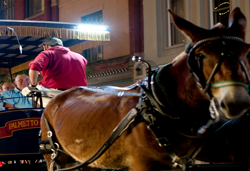 Kings Courtyard Inn, in Charleston, United States - I Prefer