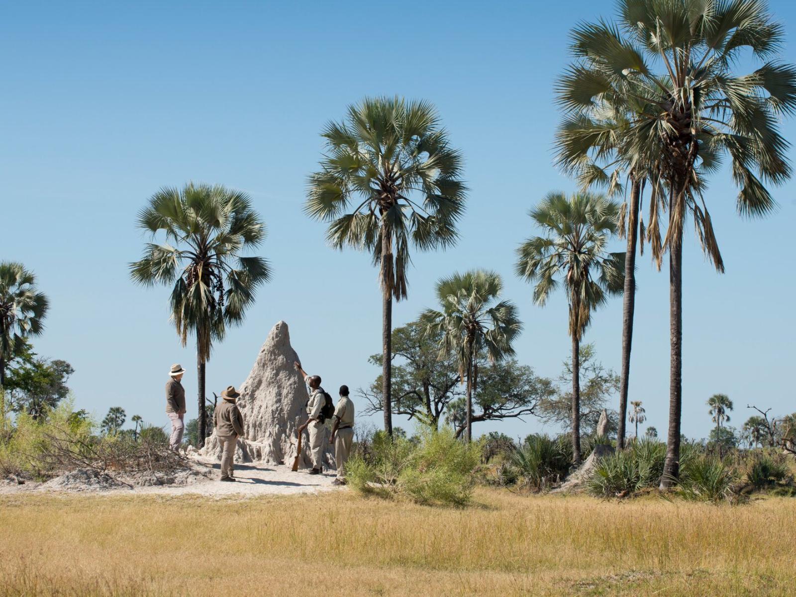 andBeyond Nxabega Okavango Tented Camp, in Okavango Delta, Botswana ...