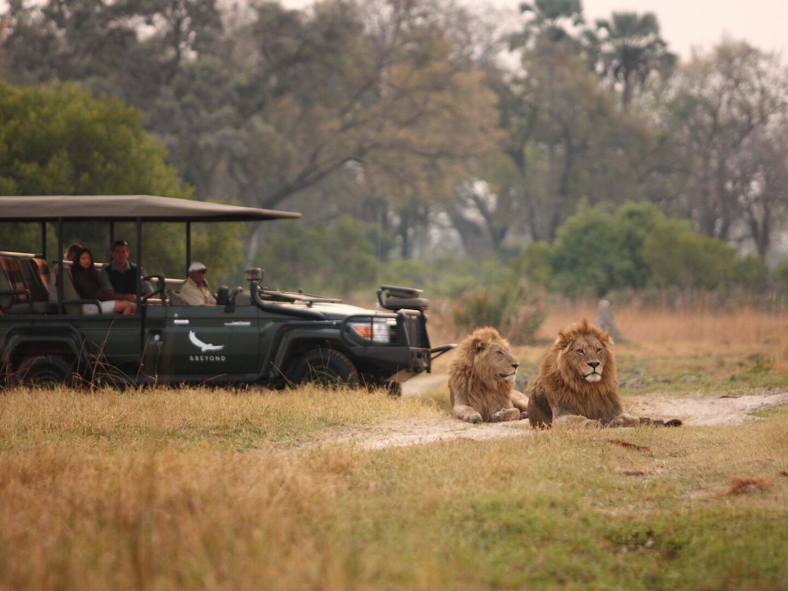 andBeyond Sandibe Okavango Safari Lodge, in Okavango Delta, Botswana ...