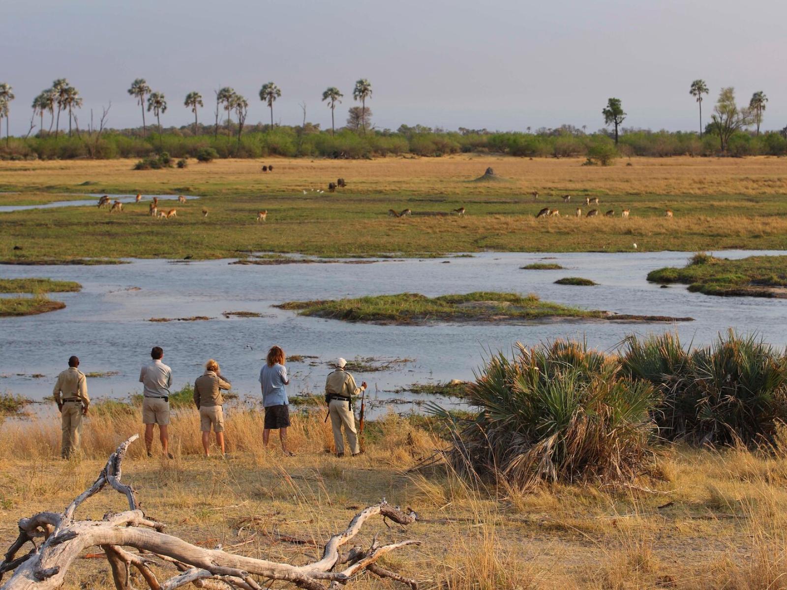 andBeyond Sandibe Okavango Safari Lodge, in Okavango Delta, Botswana ...