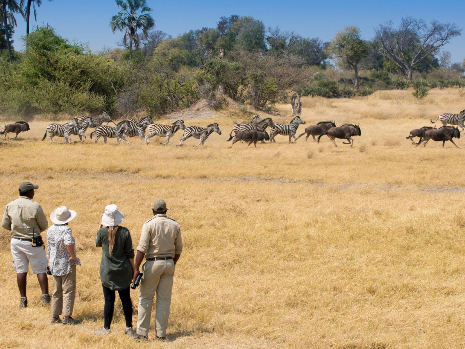 andBeyond Sandibe Okavango Safari Lodge, in Okavango Delta, Botswana ...