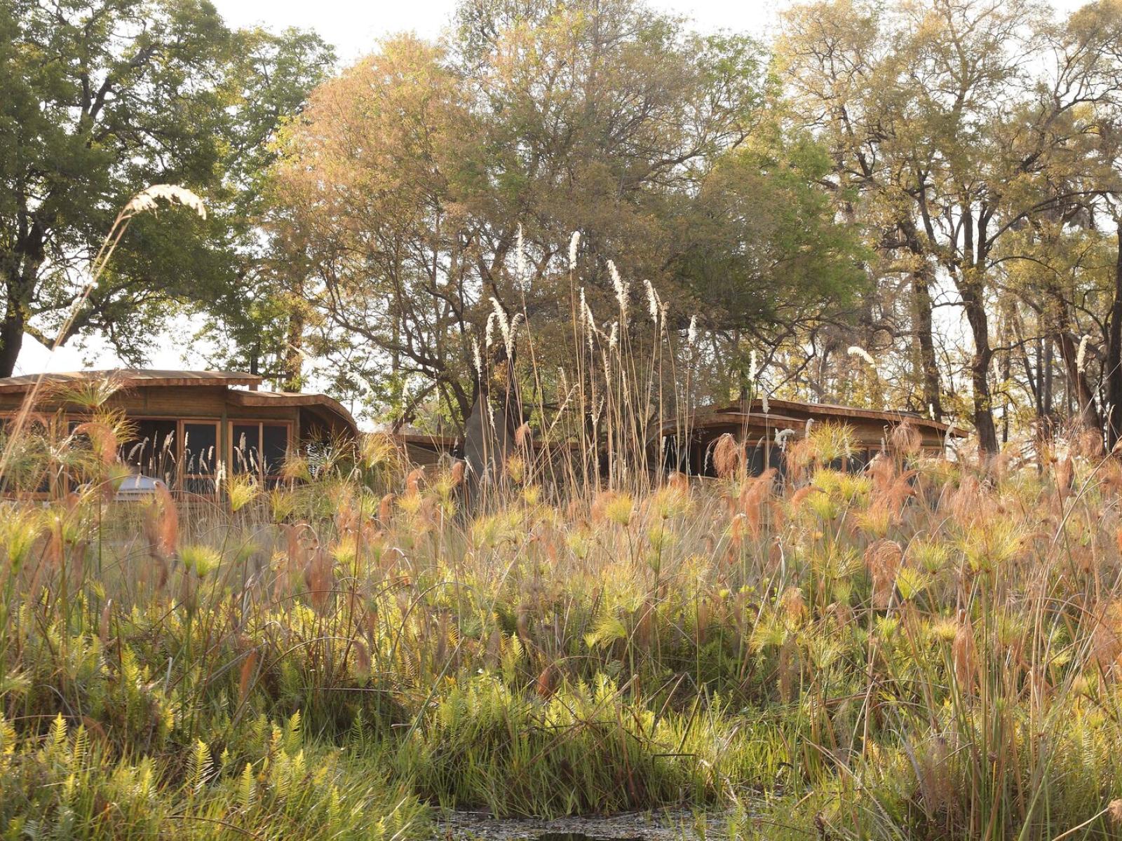 andBeyond Sandibe Okavango Safari Lodge, in Okavango Delta, Botswana ...
