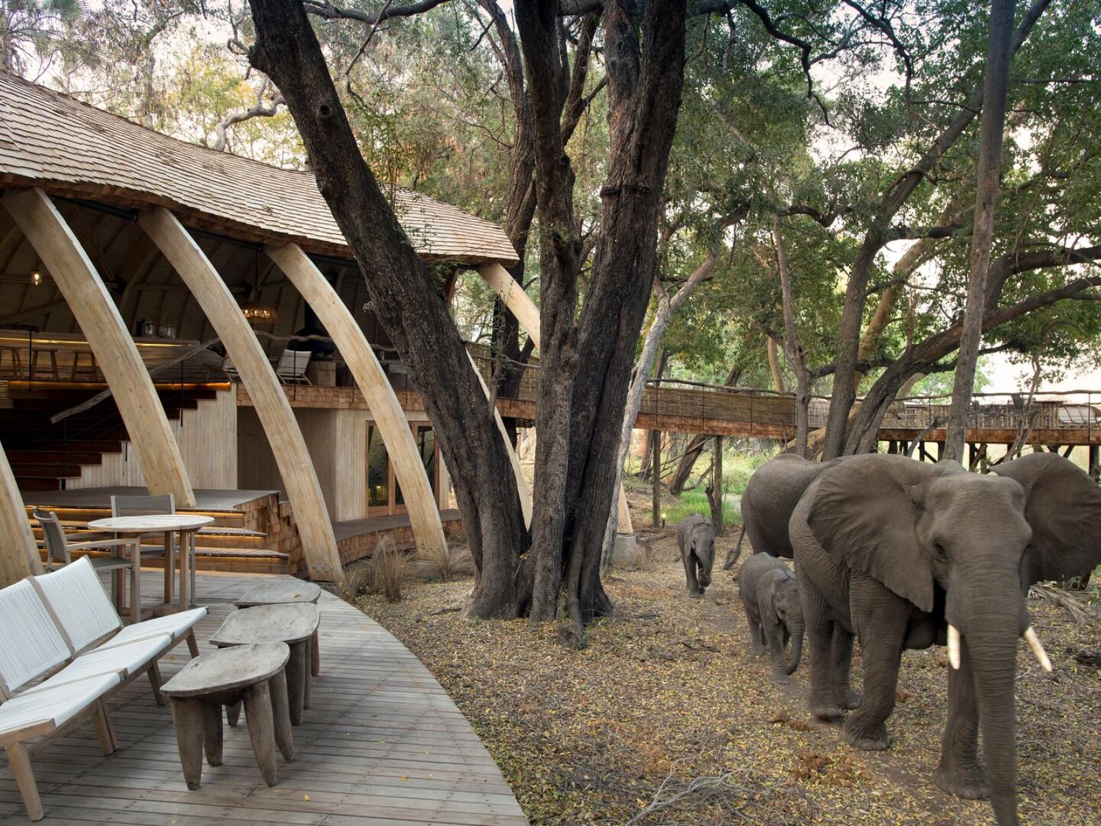 andBeyond Sandibe Okavango Safari Lodge, in Okavango Delta, Botswana ...