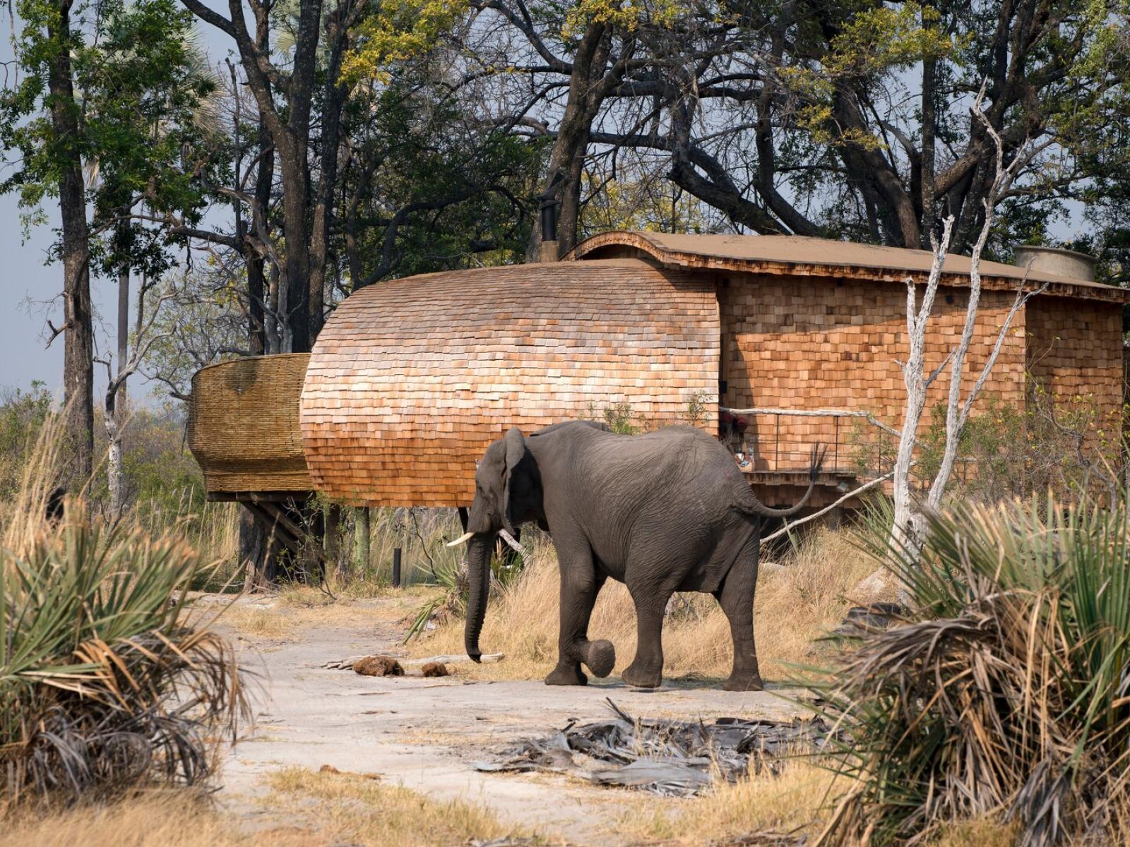 andBeyond Sandibe Okavango Safari Lodge, in Okavango Delta, Botswana ...