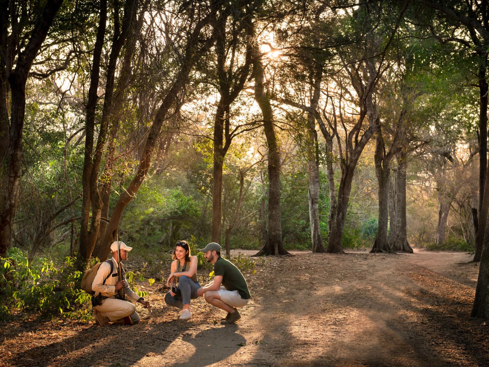 andBeyond Phinda Forest Lodge, in Hluhluwe, South Africa - Beyond Green ...