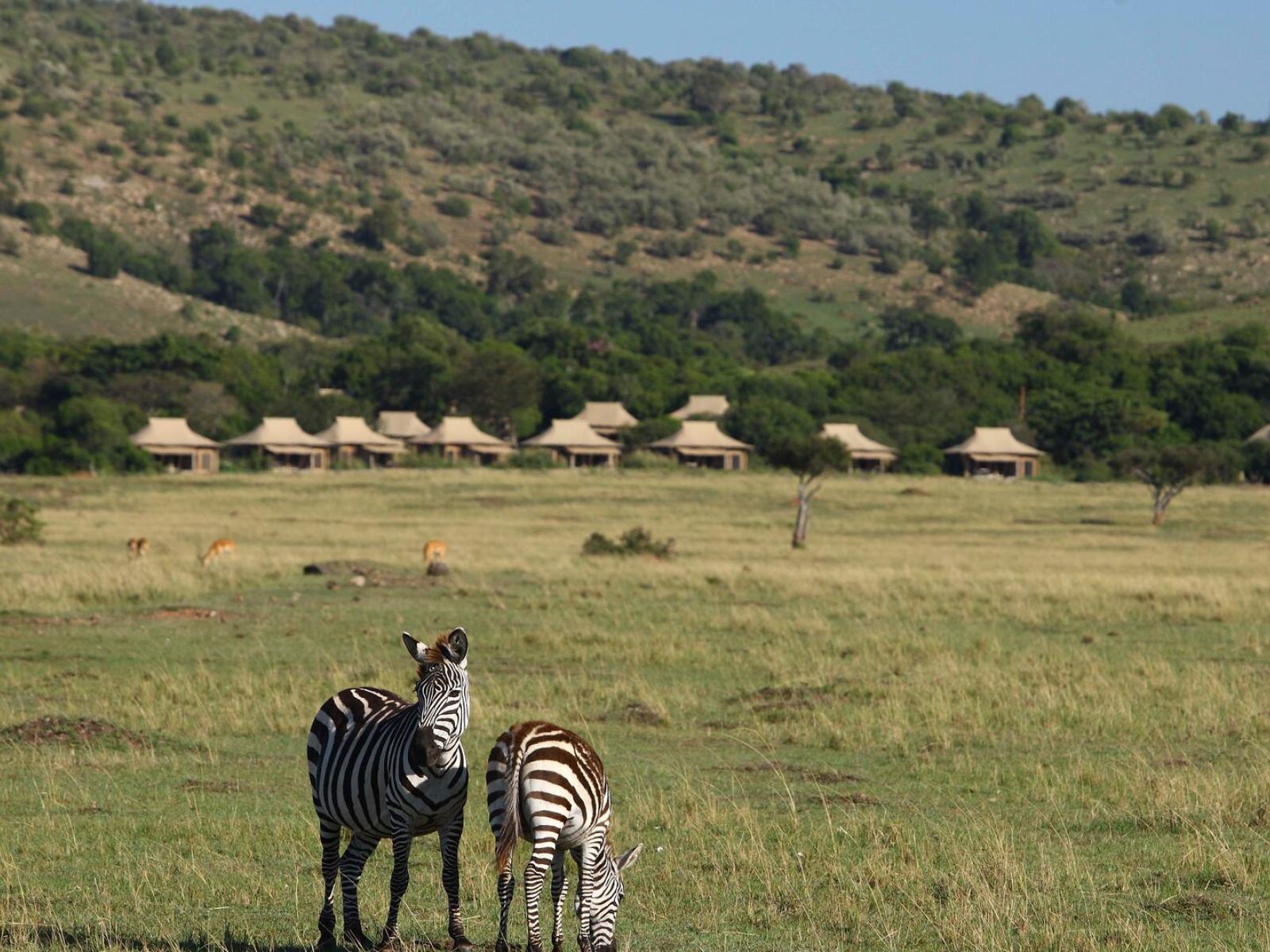 andBeyond Kichwa Tembo Tented Camp, in Kawai, Kenya - Beyond Green ...