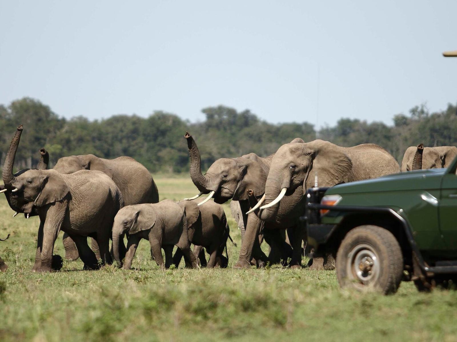 andBeyond Kichwa Tembo Tented Camp, in Kawai, Kenya - Beyond Green ...