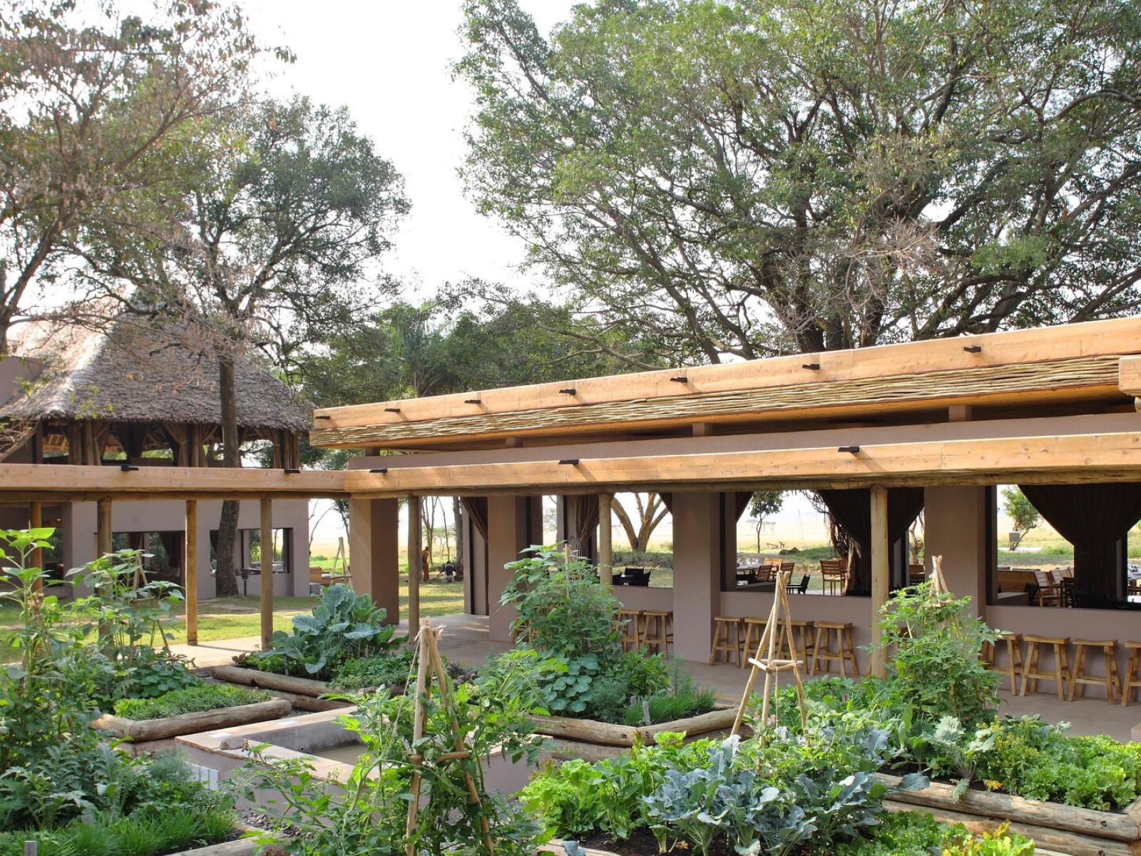 andBeyond Kichwa Tembo Tented Camp, in Kawai, Kenya - Beyond Green ...