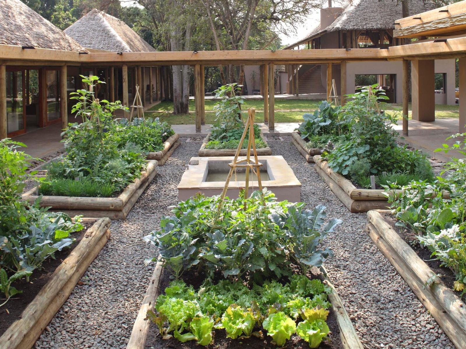 andBeyond Kichwa Tembo Tented Camp, in Kawai, Kenya - Beyond Green ...