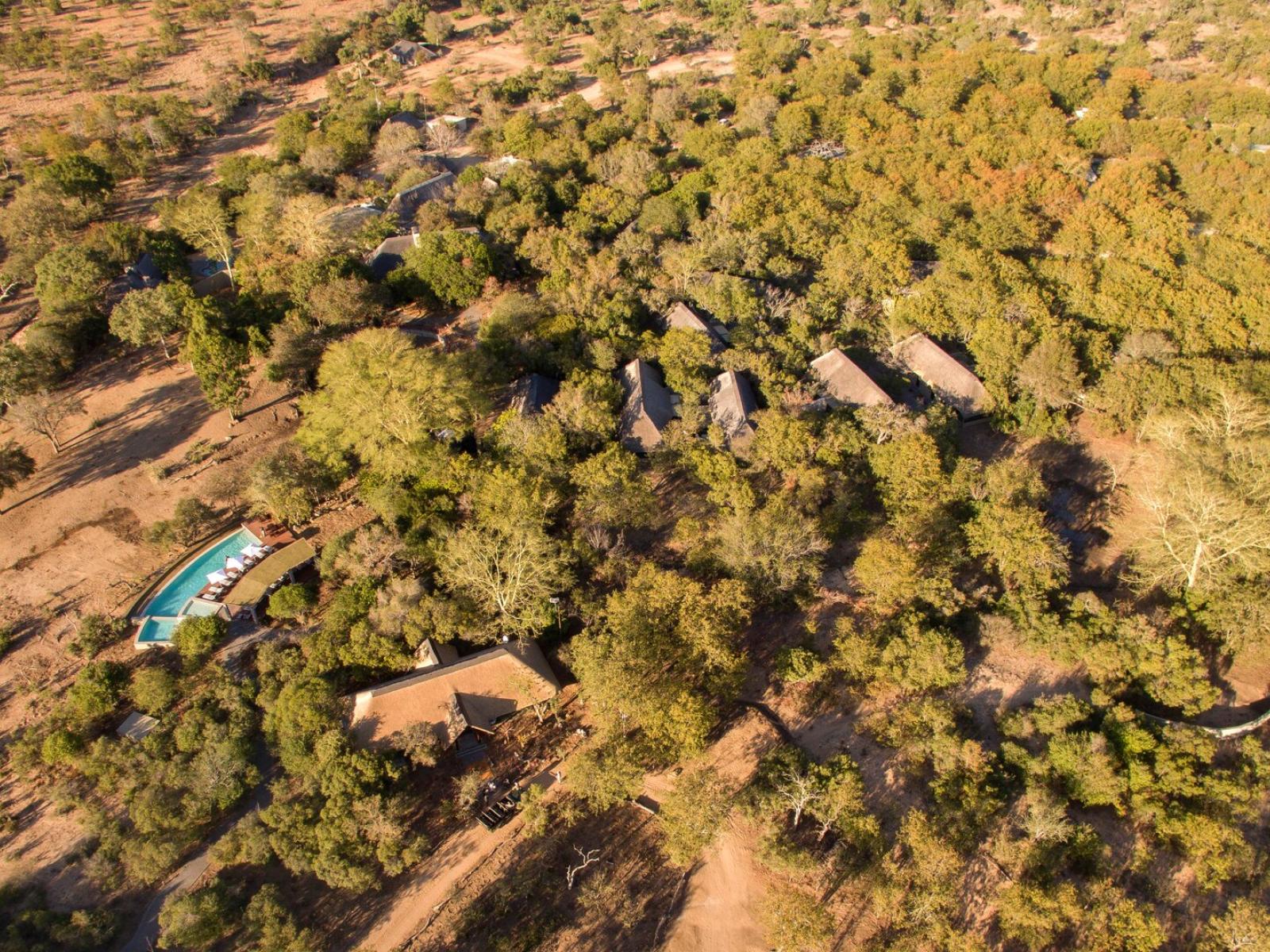 andBeyond Ngala Safari Lodge, in Hoedspruit, South Africa - Beyond ...