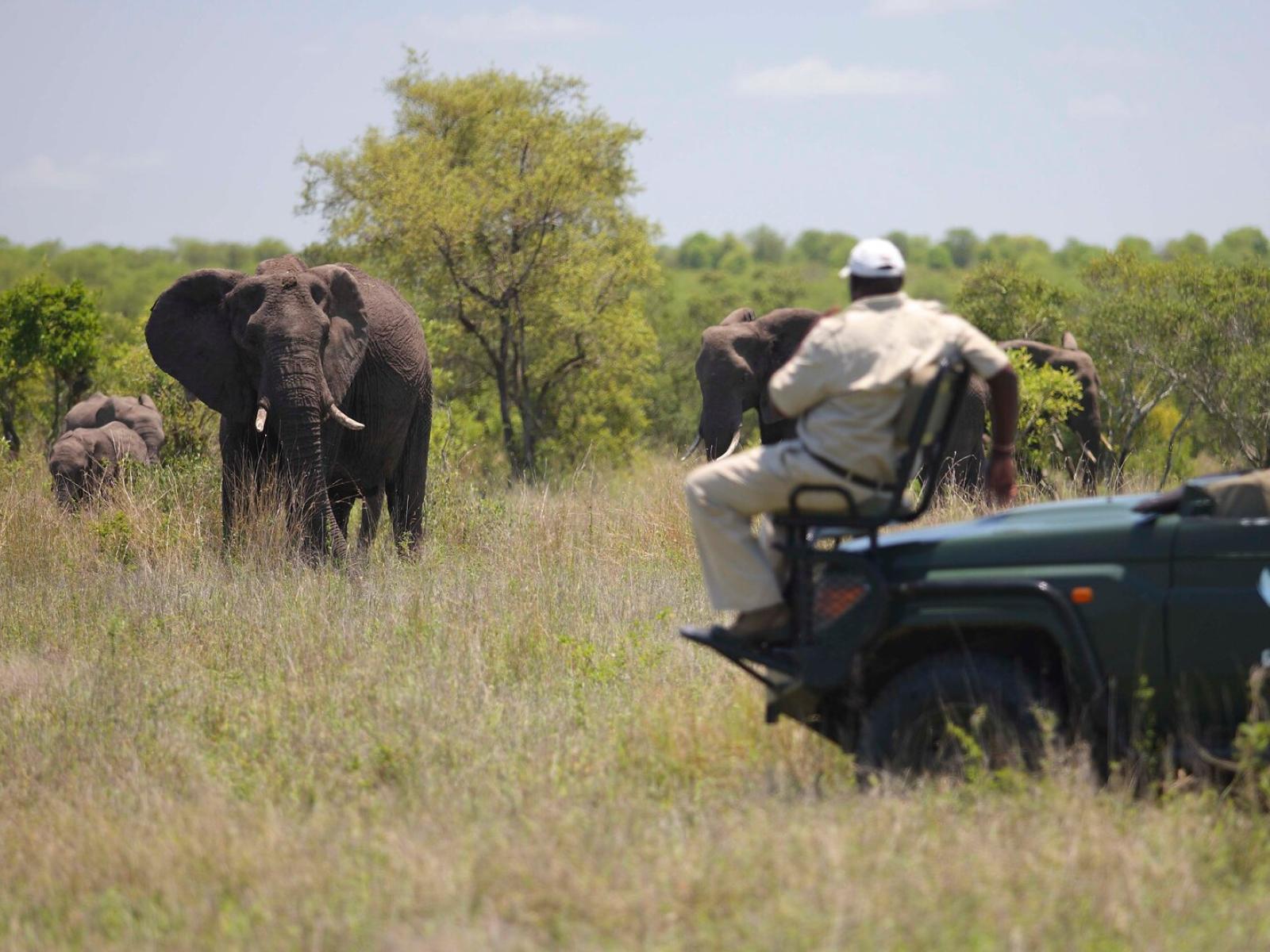 andBeyond Ngala Safari Lodge, in Hoedspruit, South Africa - Beyond ...