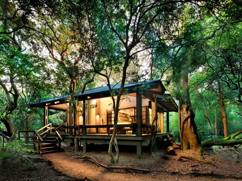 Sustainable Hotels, Eco-first travel - Beyond Green