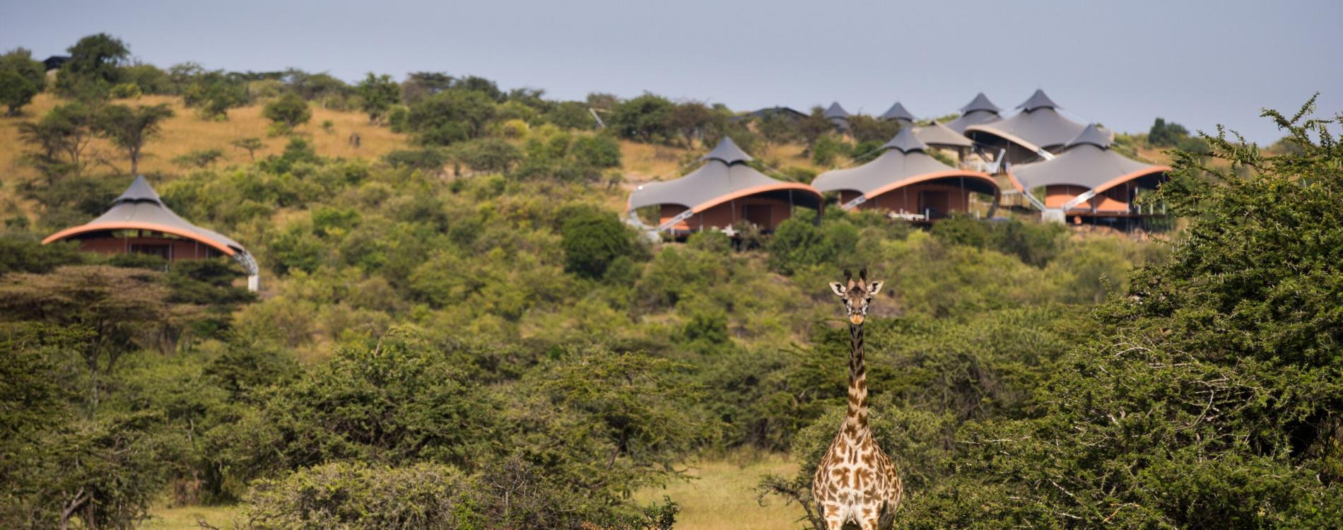 Mahali Mzuri, in Olare Motorogi Conservancy, Kenya - Preferred Hotels ...