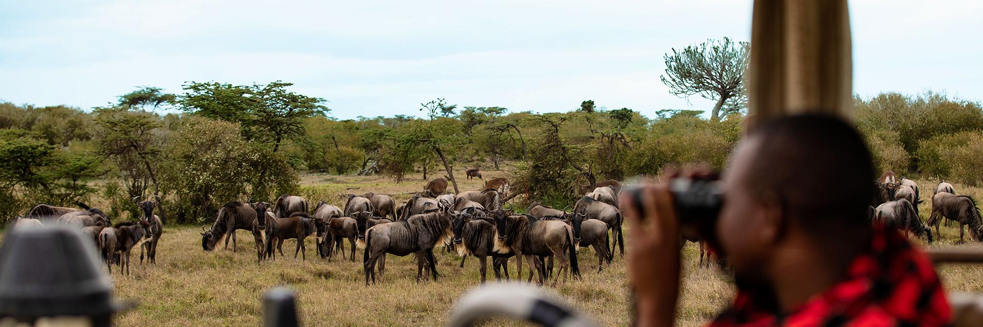 Mahali Mzuri, in Olare Motorogi Conservancy, Kenya - Preferred Hotels ...